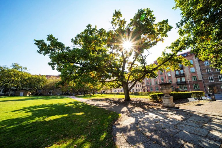 DBT Capital säkrar avtal med Hyreslandslaget - 25 miljoner i grönt lån ...